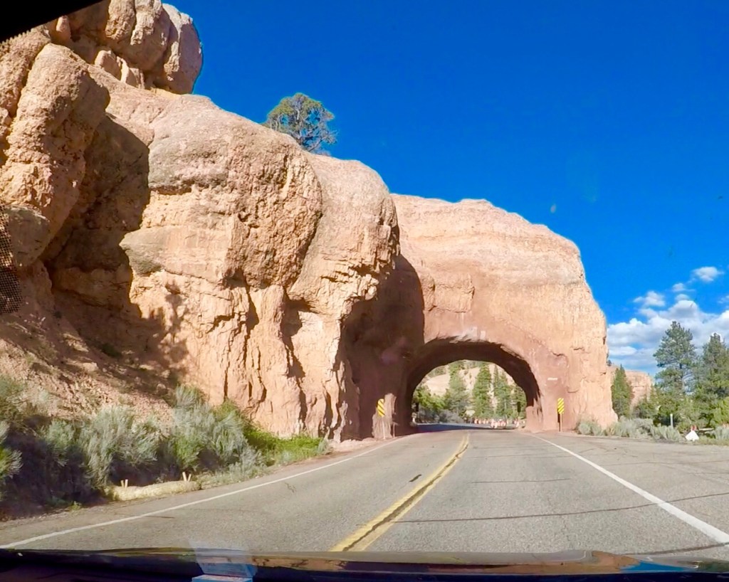 Day 8: Bryce, UT – jboldlivinghappy